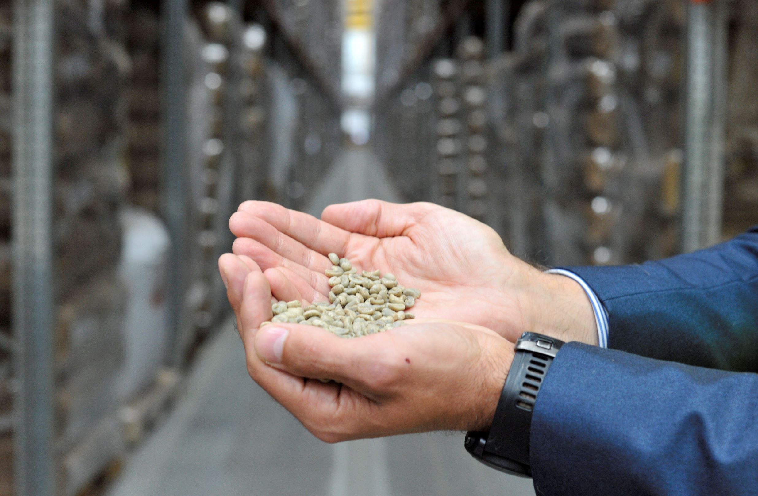 PORT OF TYNE STRIKES NEW DEAL WITH RINGTONS COFFEE | Port of Tyne